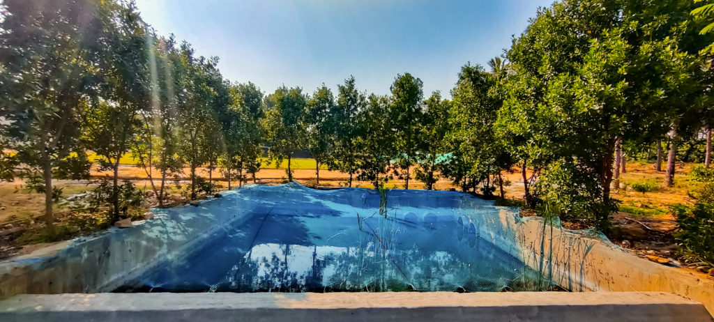 Aqua Farming - Universal Group Of Institutions