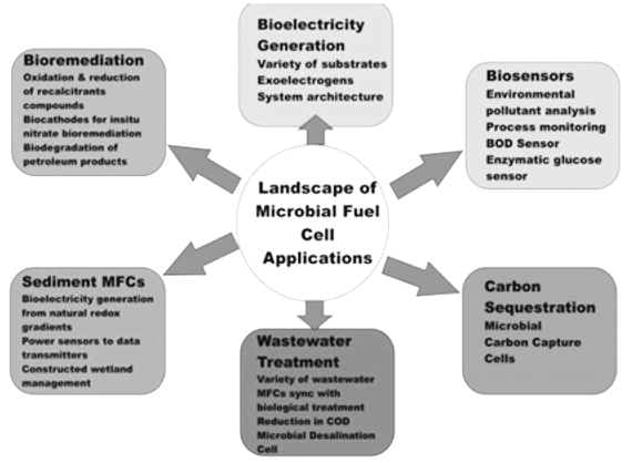 What are Microbial Fuel Cells? Discuss its possible applications in ...