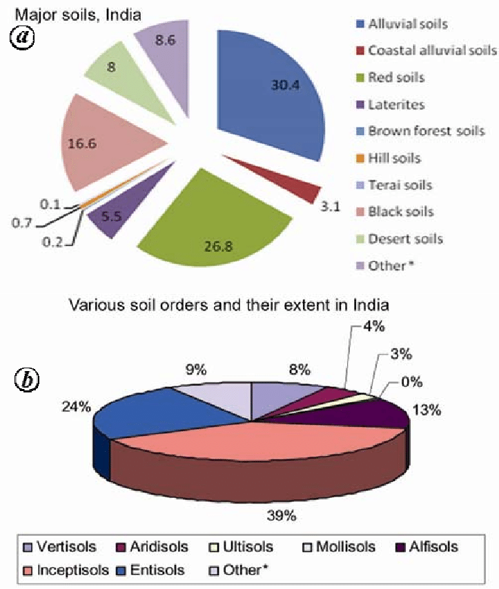 Poor soil management will erode food security - Universal Group Of ...