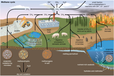 Why did methane emissions spike in 2020? - Universal Group Of Institutions