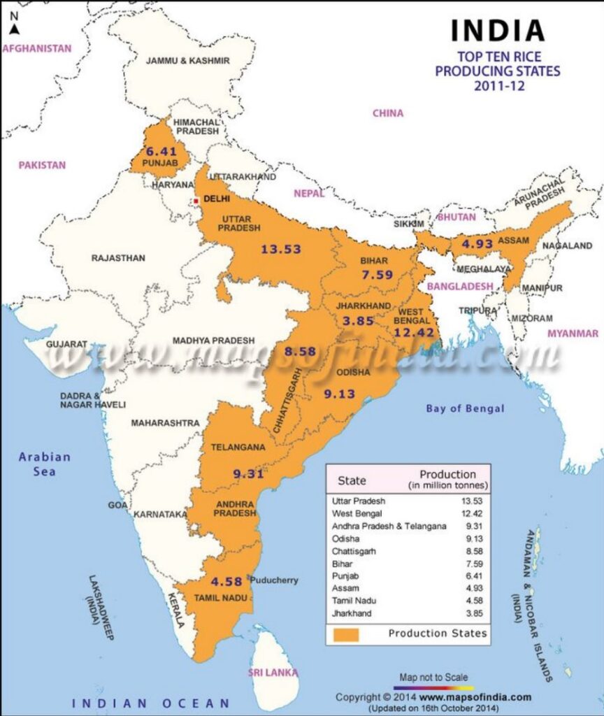 Wayanad rice festival promotes climate-resilient crops - Universal ...