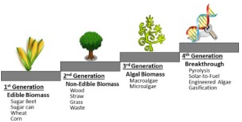 Global Biofuel Alliance. - Universal Group Of Institutions