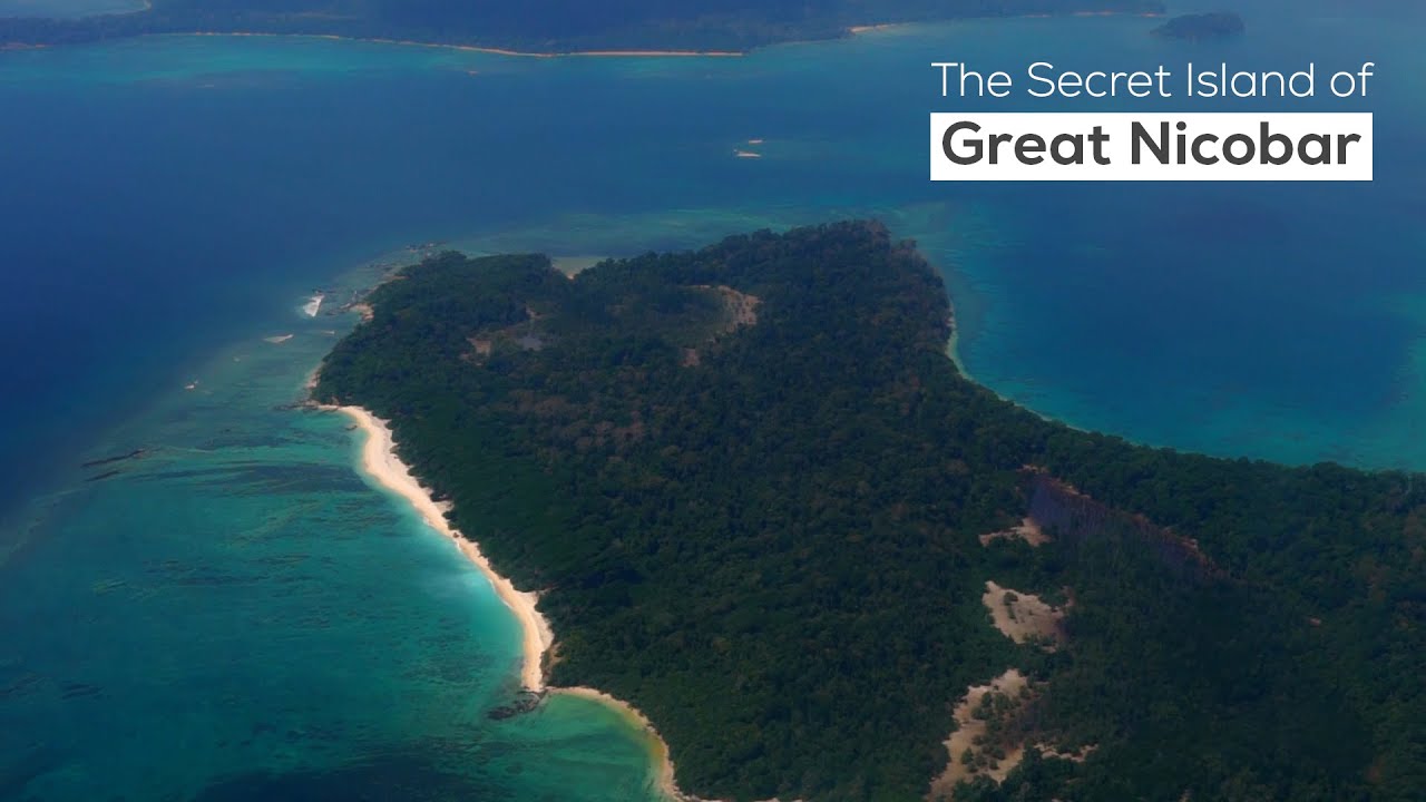 Over nine lakh trees likely to be axed for Great Nicobar Project ...