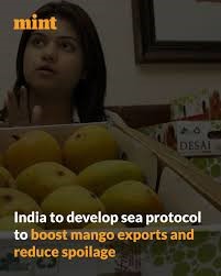 Boosting Mango Exports: India’s New Sea Protocol Overview