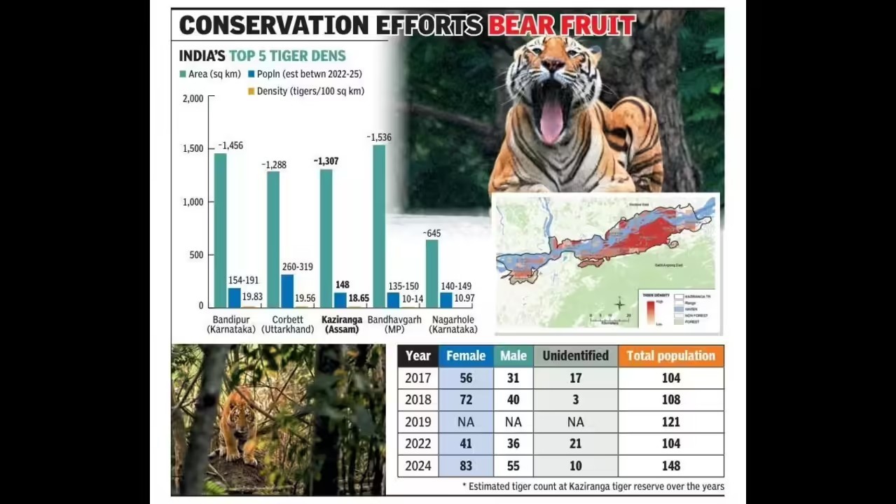 Kaziranga Tiger Reserve Tops 3rd Highest Tiger Density