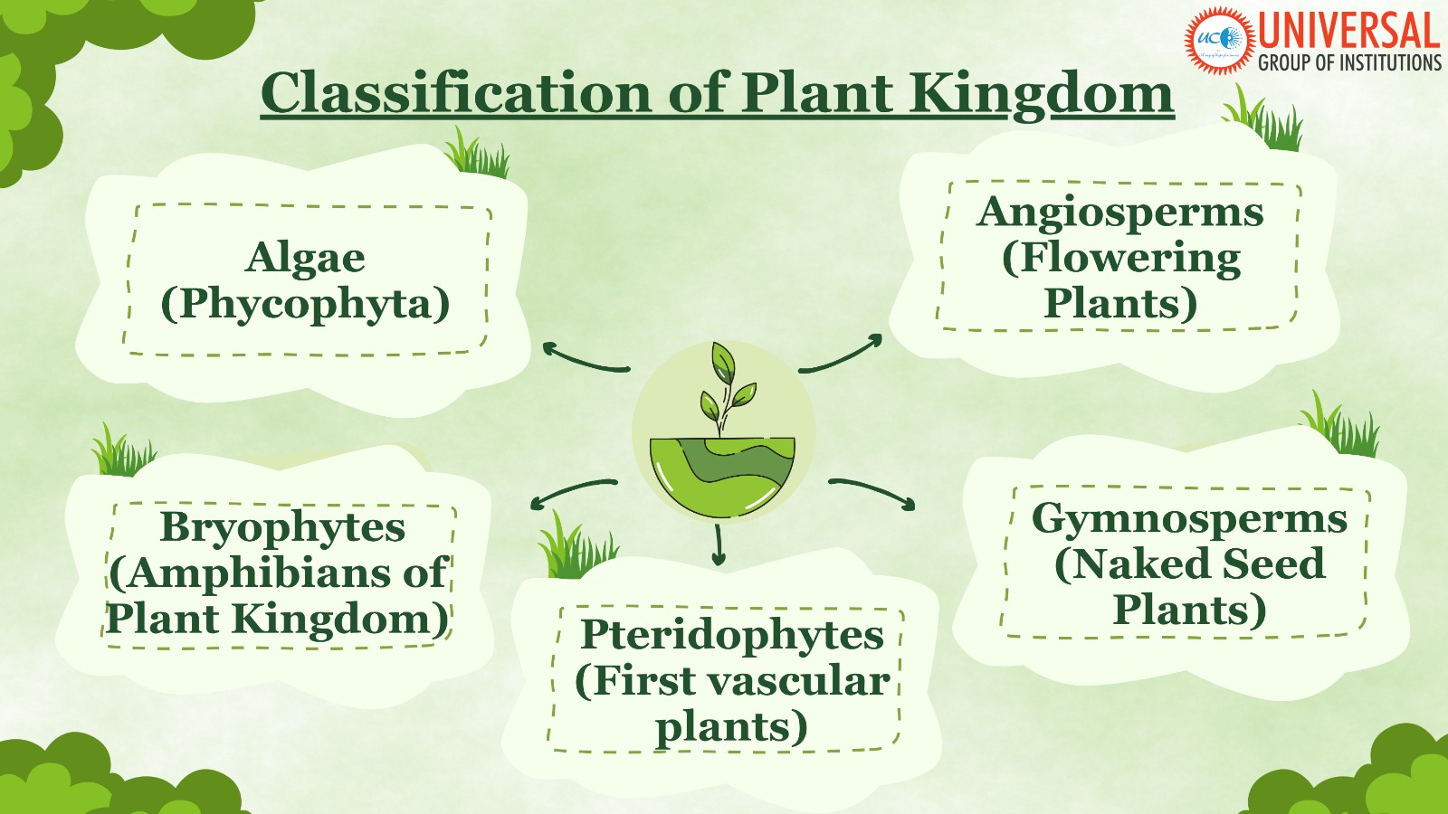 Plant Kingdom Classification UPSC: Major Groups