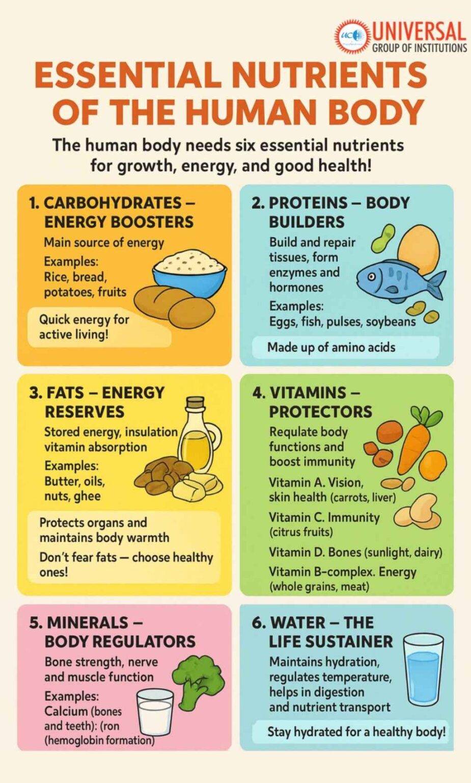 Essential Nutrients Human Body GS Paper Explained