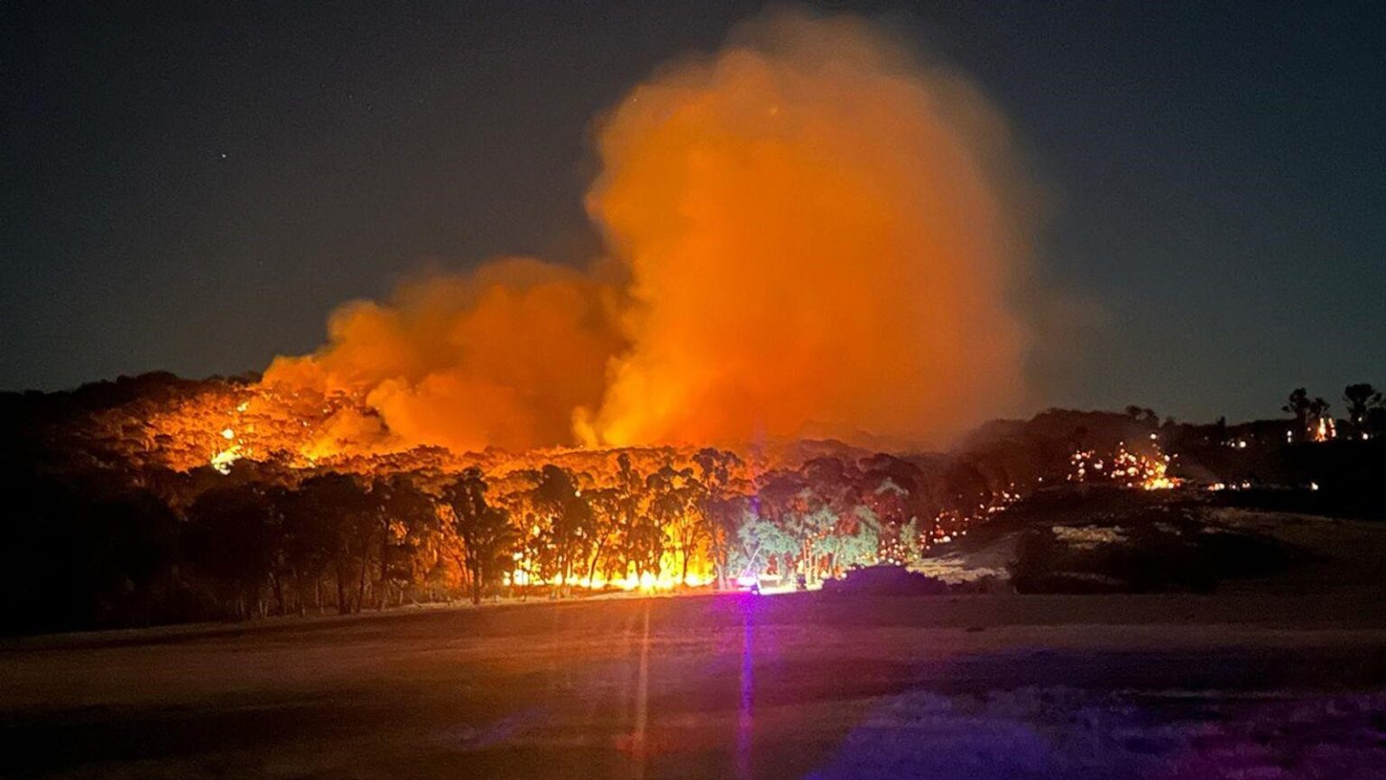 Southeast Australia Bushfires and Environmental Impact